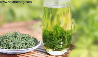 With rich experience of EU market gynostemma gypenosides for sleep --gynostemma extract