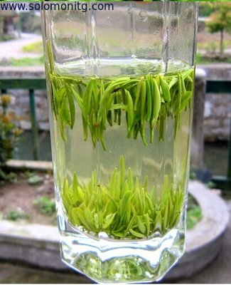 buy green tea-2018 New Chinese Organic Green Tea-Hanzhong Xianhao Superfine