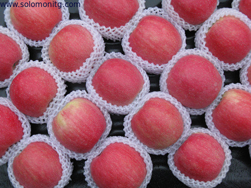 2018 exporter big red fuji apple (apple:fuji, huaniu, gala, golden,qingguan, red star) with Popular In Netherlands Rich