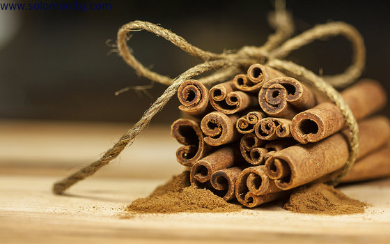 Health Cortex Cinnamomi extract 10:1, Cassia Bark Extract,Cinnamomum cassia extract