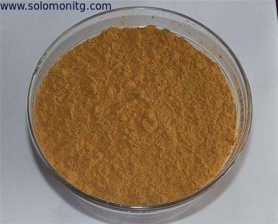 Health Cortex Cinnamomi extract 10:1, Cassia Bark Extract,Cinnamomum cassia extract