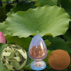 4:1/10:1 pure natural brown-yellow powder --Nelumbo Nucifera Gaertn. -Folium Nelumbinis