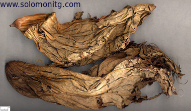Manufacturer Supply natural high quality lotus leaf extract, Nelumbo Nucifera Gaertn. -Folium Nelumbinis