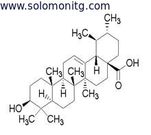 High Quaity and natural plant extract Lotus --Nelumbo Nucifera Gaertn. -Folium Nelumbinis