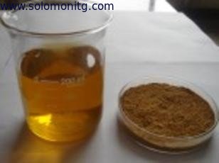 High quality olive extract antioxidant hydroxytyrosol --Olea europea L.