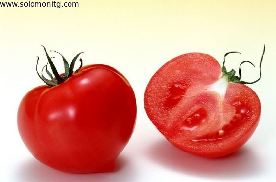 100% Natural 5%-40% lycopene tomato extract by HPLC with rich experience in EU market