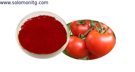new product tomato ketchup powder china wholesale --Solanum lycopersicum