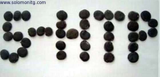Top Quality 5-HTP 98% Griffonia Extract --Griffonia Simplicifolia.