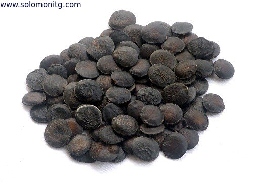 Top Quality 5-HTP 98% Griffonia Extract --Griffonia Simplicifolia.