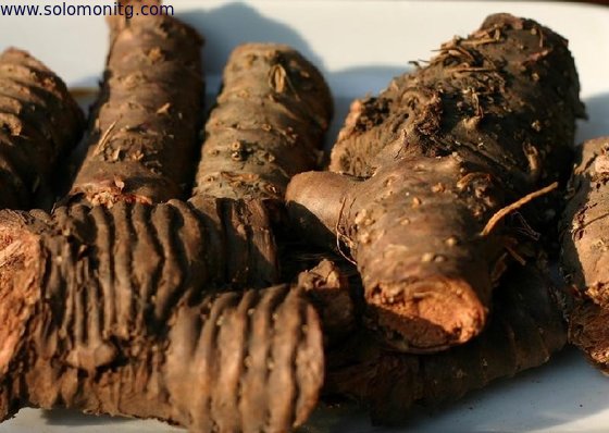 3% Salidroside and 10:1 Rhodiola Rosea extract --Rhodiola rosea L