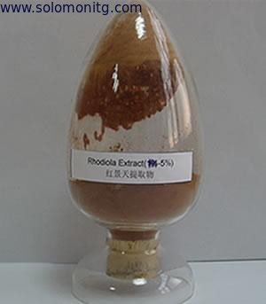 100% natural rhodiola rosea extract 3% salidroside --Rhodiola rosea L