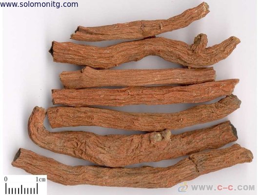 100% pure natural 8% Salvianolic acid salvia miltiorrhiza bunge extract