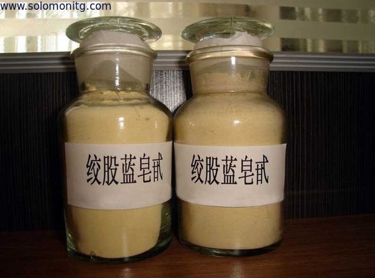 gynostemma extract powder free samples,Gynostemma Pentaphyllum Powder --gynostemma extract