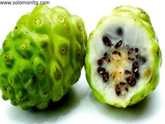 4:1,10:1,20:1,30:1,etc morinda citrifolia extract/ noni juice powder China supplier--Morinda officinalis How
