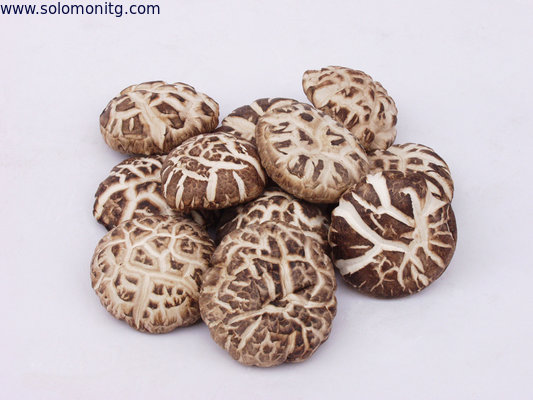 100% natural herbal type polysaccharide 10%-40% shiitake mushroom extract -Lentinula edode