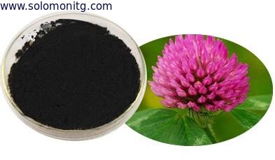 High Quality 8% Isoflavones HPLC Red Clover Extract -Trifolium pretense L.