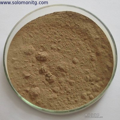 Pure Natural Plantago Asiatica Extract --plantago asiatica  for healthcare ingredient