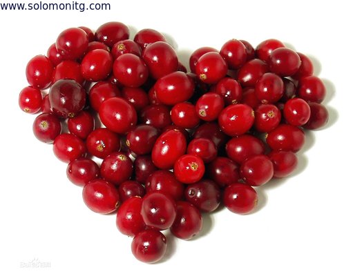 high quality cranberry fruit powder sample free--Cranberry juice