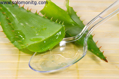 Top Quality 10:1 aloe vera extract powder,Aloe barbadensis Miller, Aloe vera L.