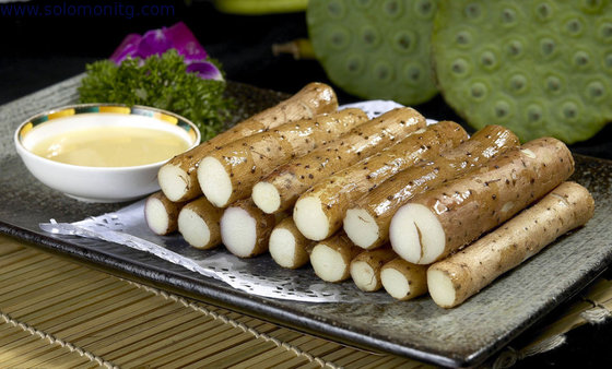 ISO certificated wild yam extract diosgenin -Dioscorea opposita Thunb.