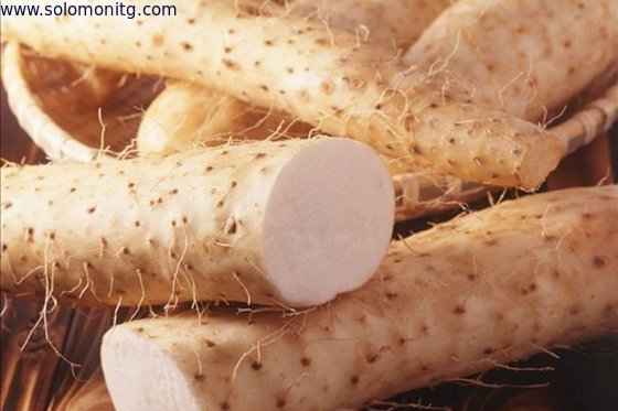 100% Nature Wild Yam Extract/wild Yam Extract Powder/Wild Yam Powder
