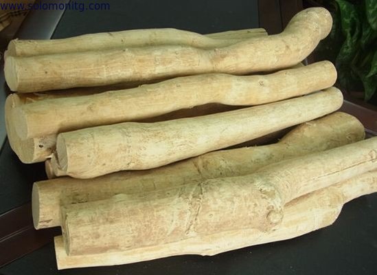 tongkat ali eurycoma longifolia extract Ali's Umbrella, Tongkat Ali, Payung Ali, Tongkak Ali Lelaki,
