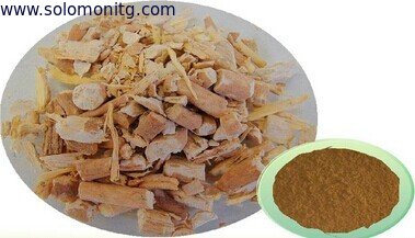 herb medicine ashwagandha extract powder, 5% withanolides , Withania Somnifera L. Withania Somnifera L.