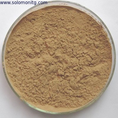 Top quality pure natural angelica root extract 10:1 --Angelica Sinensis(Oliv.)Diels