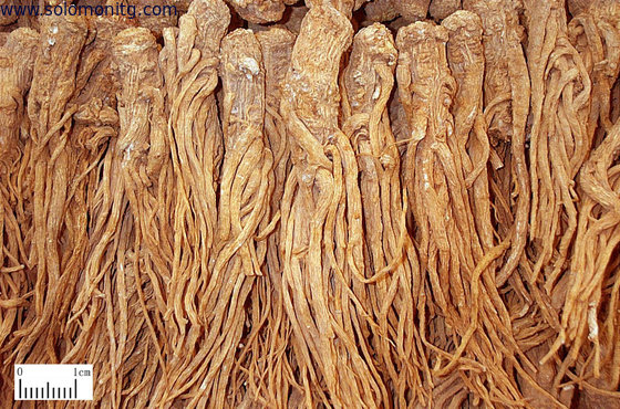 high quality low price dong quai extract(Latin name: Angelicae sinensis)