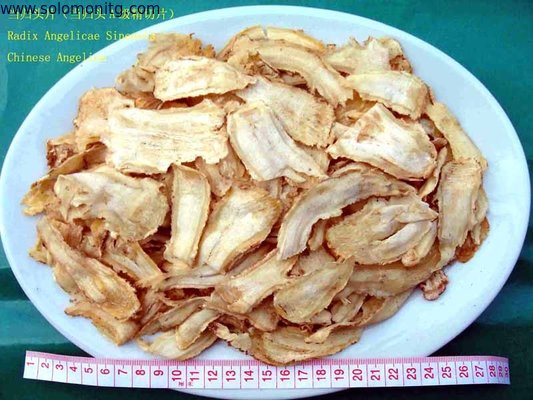 top quality 0.6% ligustilide chinese angelica extract --Angelica Sinensis(Oliv.)Diels