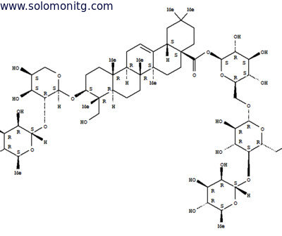 High Quality 1%-5% Hederagenin Ivy Leaf Extract --Hedera nepalensis K,Koch var.sinensis