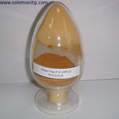top quality 100% pure natural tea polyphenol-- Gamelliasinensis O. Ktze