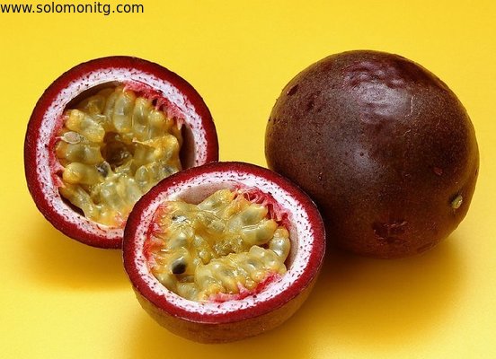 Passiflora Quadrangularis Extract, Passion Fruit Extract with rich experience in EU market