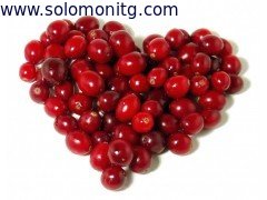 fruit powder cranberry juice powder factory priceCranberry extract Cranberry fruit extract
