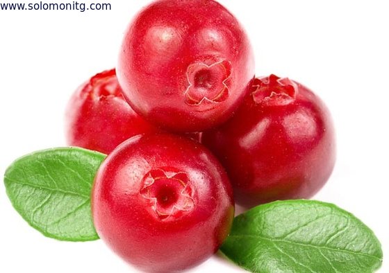 fruit powder cranberry juice powder factory priceCranberry extract Cranberry fruit extract
