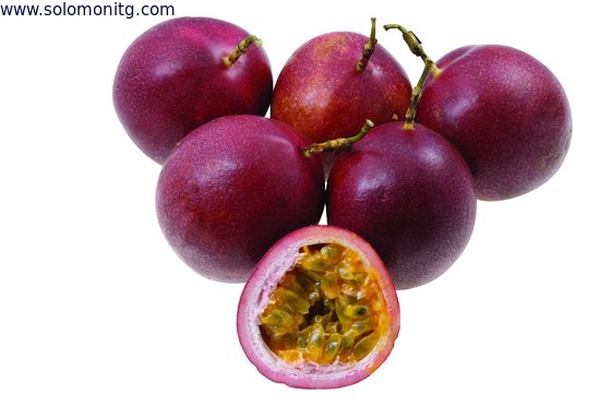 new product: Passionflower Extract, passiflora incarnata extract -- Passiflora incarnata L.