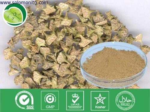 high quality fructus tribulus terrestris p.e Saponins -- Tribulus terrestris L.