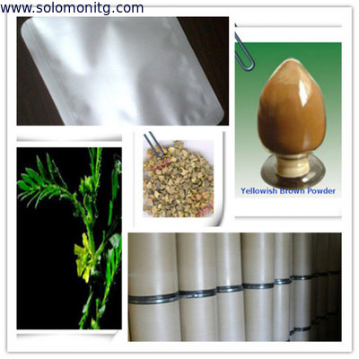 high quality fructus tribulus terrestris p.e Saponins -- Tribulus terrestris L.