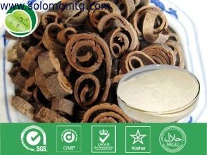 high quality magnolia bark extract powder --Magnolia officinalis Rehd.et Wils.