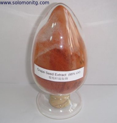 herbal medicine grape seed extract free samples 95% opc --Vitis vinifera L