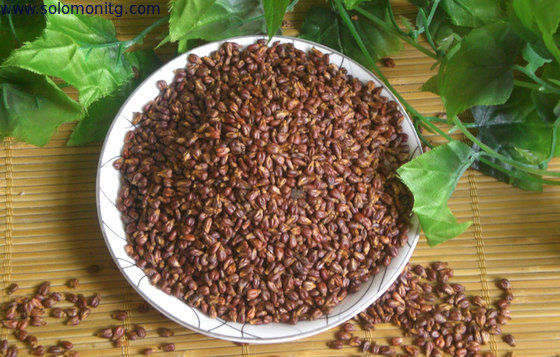 fruit powder grape powder new product (Vitis vinifera L) for grape juice