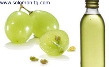 organic grape seed extract powder free samples (Vitis vinifera L)