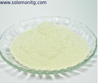 green apple extract powder with China manufacturer,top Quality Apple Juice Powder --Malus pumila Mill