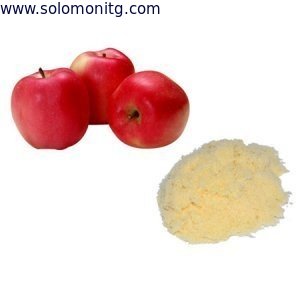 green apple extract powder with China manufacturer,top Quality Apple Juice Powder --Malus pumila Mill