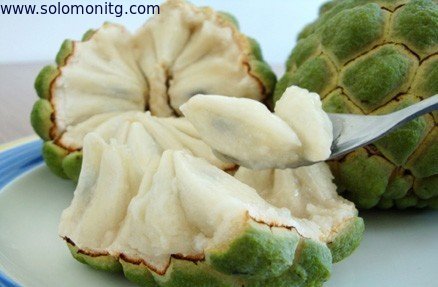 Manufacturer Supply Graviola Soursop Extract 4:1 for fruit juice application