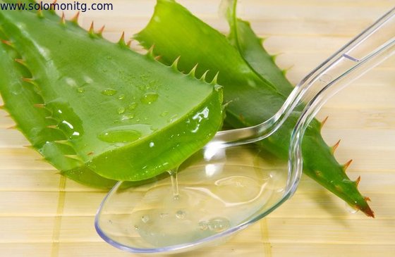 High quality Aloe Vera Extract/Aloe Vera Extract powder/price of aloe vera leaf