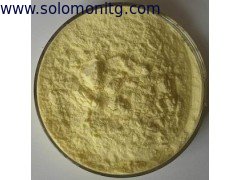 fruit powder mango juice drink powder factory price/high quality mango seed powder factory