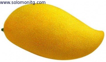 For beverage instant mango powder drink factory price for juice producing