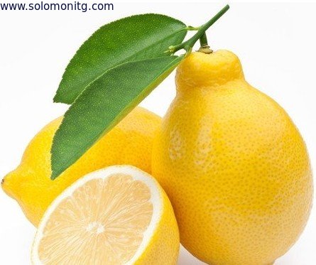 fruit powder instant lemon extract powder, lemon flavor fruit juice powder sample free