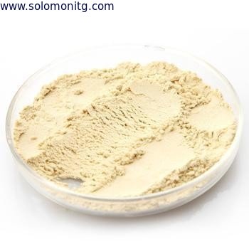 No essence no pigment instant lemon tea powder, lemon juice flavor powder new product
